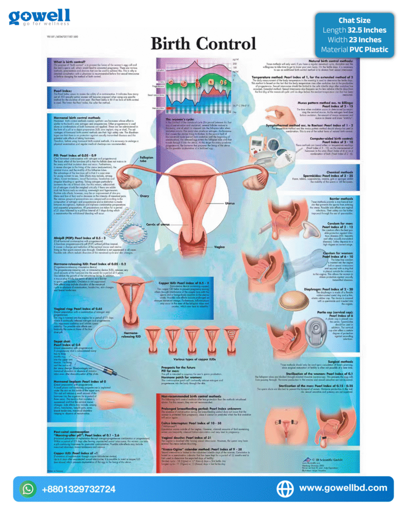 Birth Control Poster — Detailed Contraception Chart – Go Well